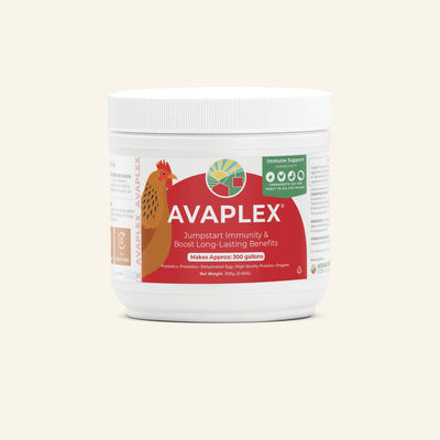 Avaplex®: Immune-Boosting Probiotic Powder for Chicken Drinking Water ...